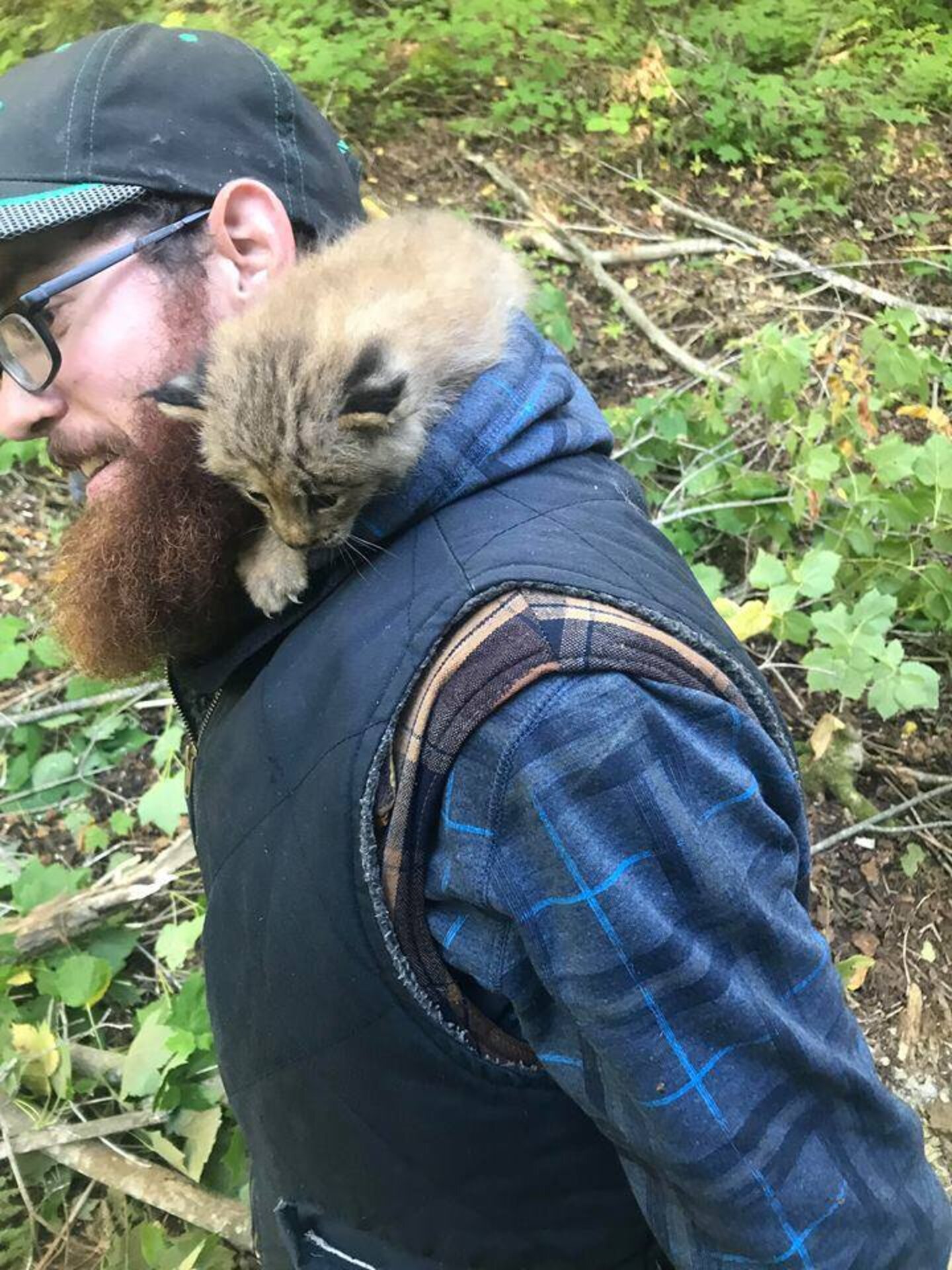 Man On Bike Ride Comes To The Rescue Of A Stranded Baby Lynx - The Dodo