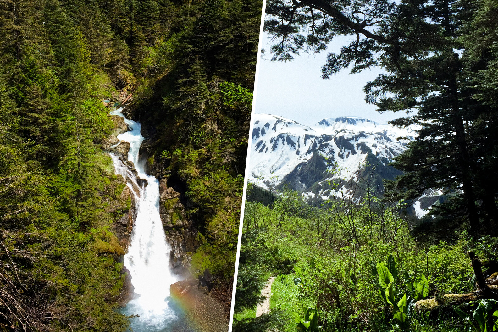 Best Hikes in Juneau, Alaska: Waterfall and Glacier Hiking Trails ...