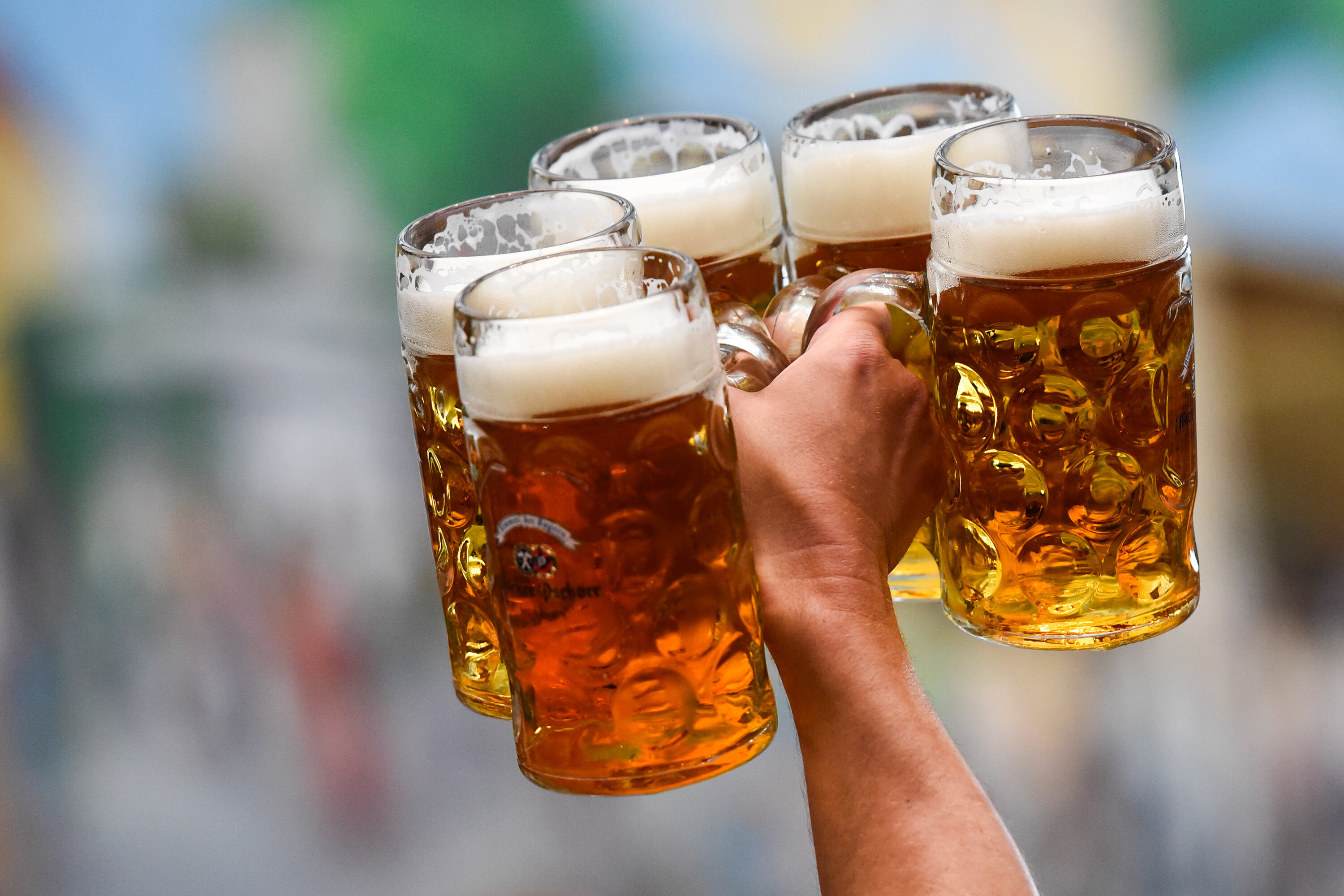 German Beer Toast