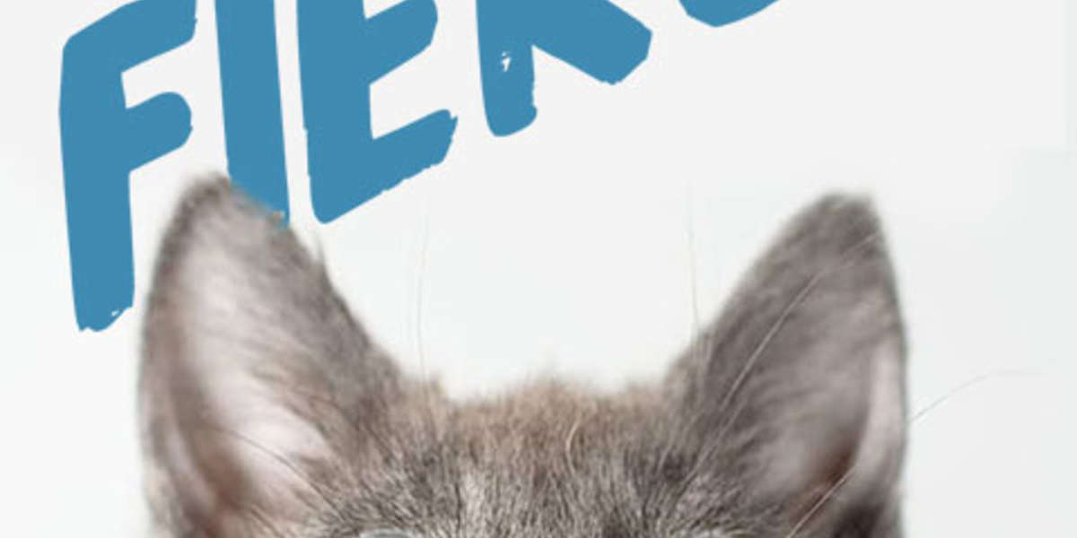 Little But Fierce - An Original Video Series by The Dodo - The Dodo