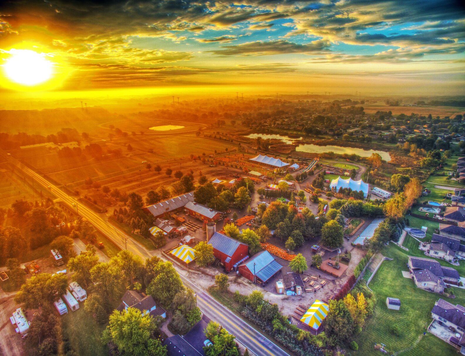 Best Pumpkin Patches Near Chicago: Where to Go Pumpkin Picking This ...