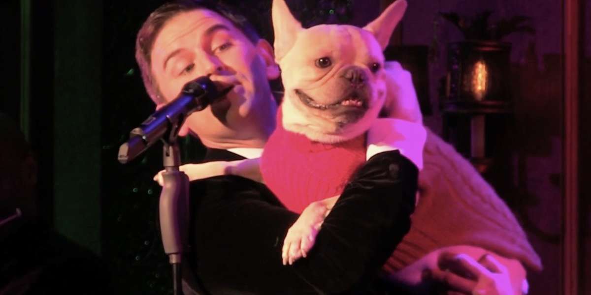 This Frenchie And His Dad Are Broadway Stars - Videos - The Dodo