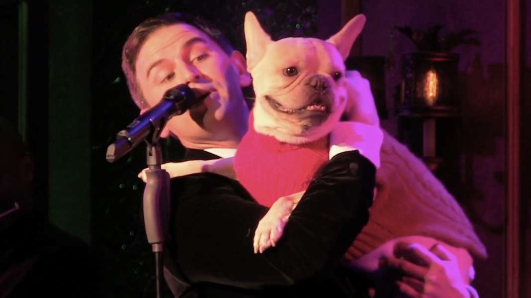 This Frenchie And His Dad Are Broadway Stars - Videos - The Dodo