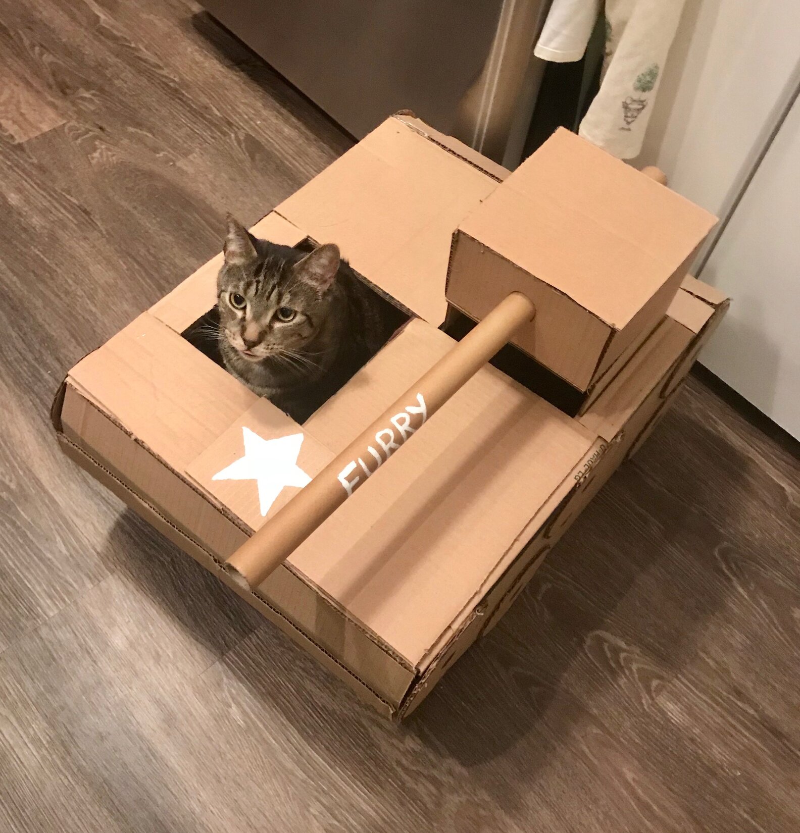 Man Makes Cardboard Tank For Friend’s Cats — And They Love It - The Dodo