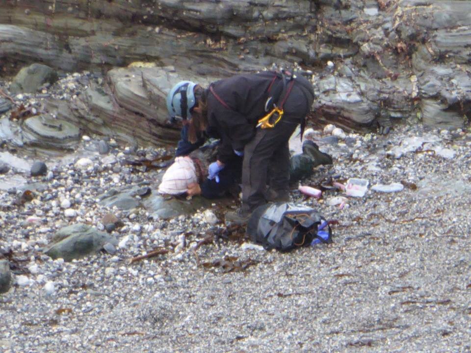 Seal Strangled By Fishing Net Rescued After Months Of Suffering - The Dodo
