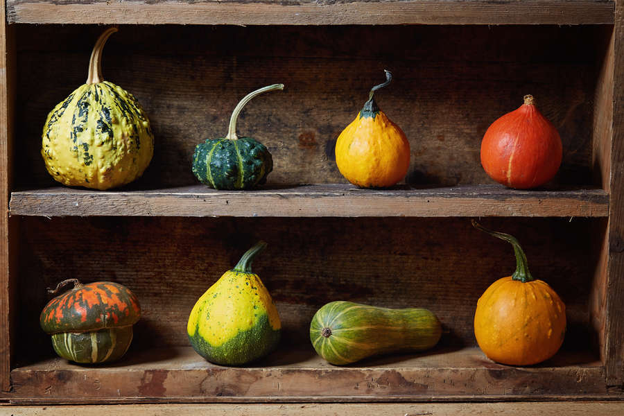 Can You Eat Gourds Difference Between Gourds Vs Squash Explained Thrillist