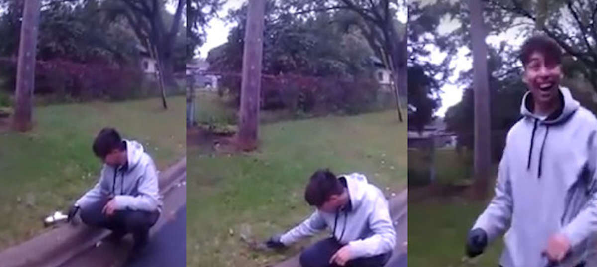 Driver Hits Squirrel and Performs CPR to Save the Squirrel's Life ...