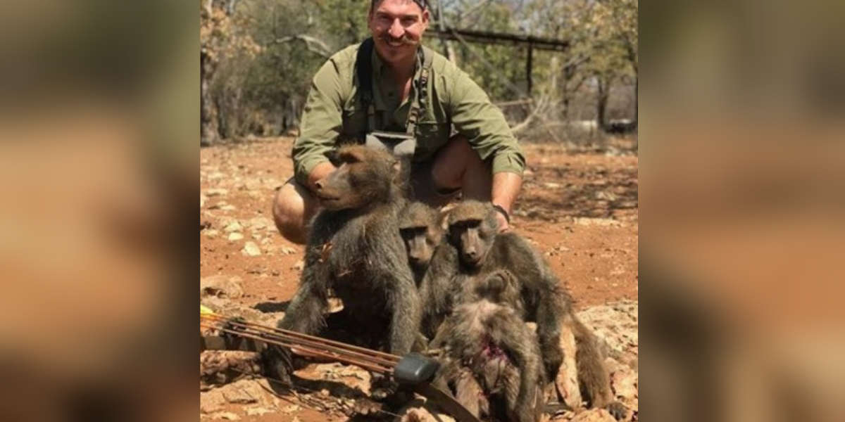 Fish And Game Commissioner Shoots Entire Family Of Baboons In Africa ...