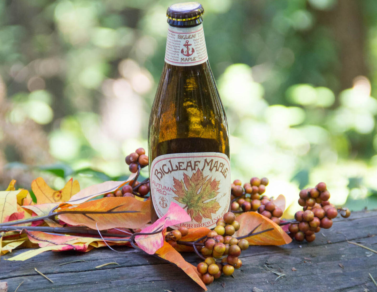 Best Fall Beers of 2019: Good Seasonal Stouts, Pillsners, Ales & More ...