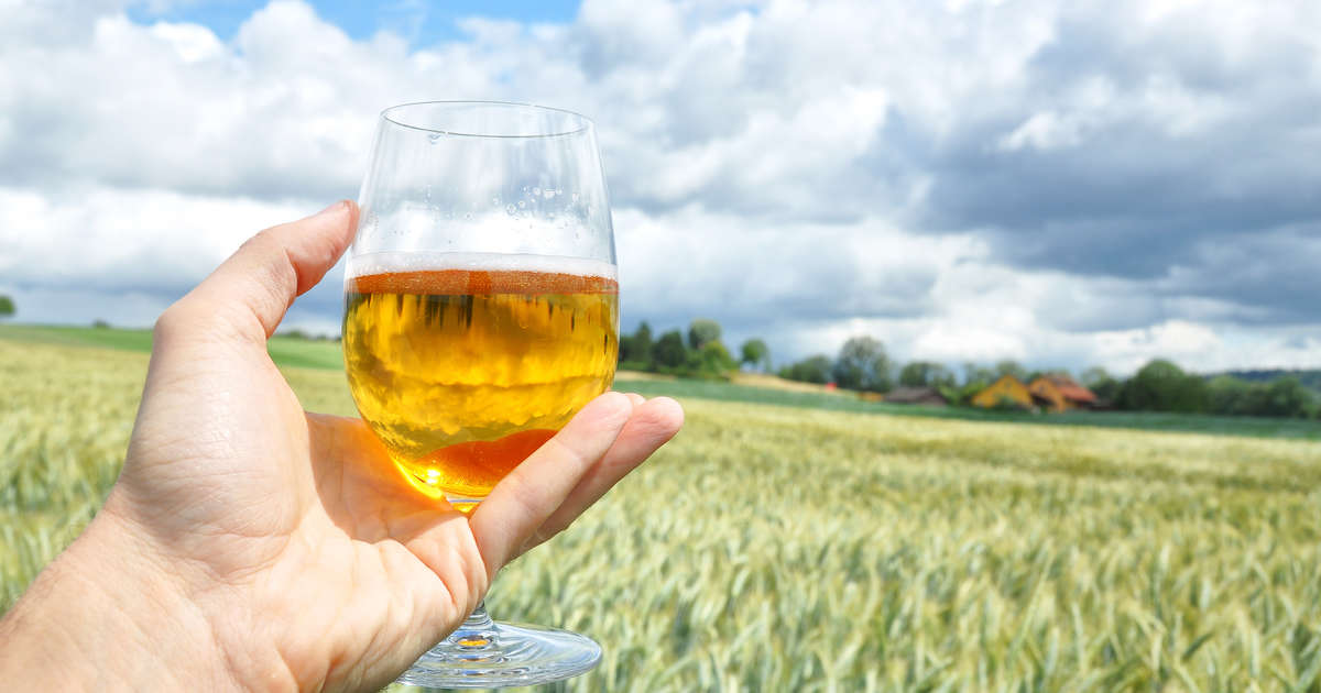 Global Beer Crisis: How Climate Change Is Endangering Our Beer - Thrillist
