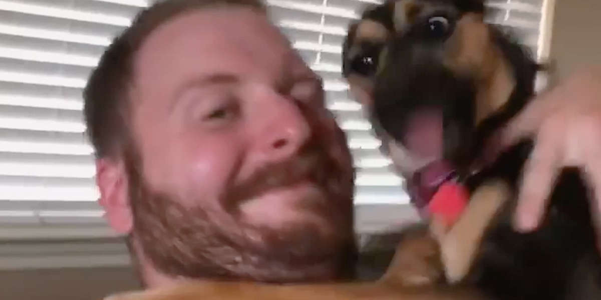 Dogs Freaking Out To Their Owners Coming Home - Videos - The Dodo