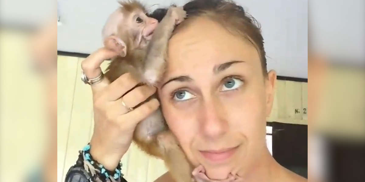 Baby Monkey Won't Let Go Of His Rescuer - Videos - The Dodo