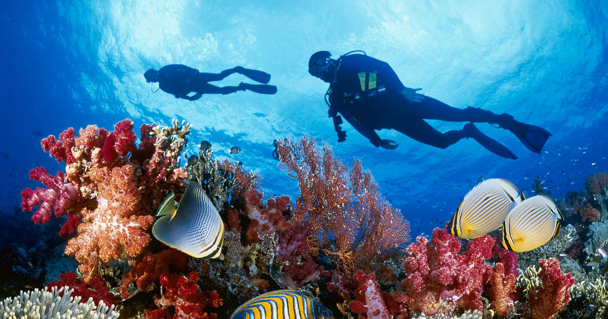 Best Places to Scuba Dive Around the World: Dive Sites Worth Visiting ...