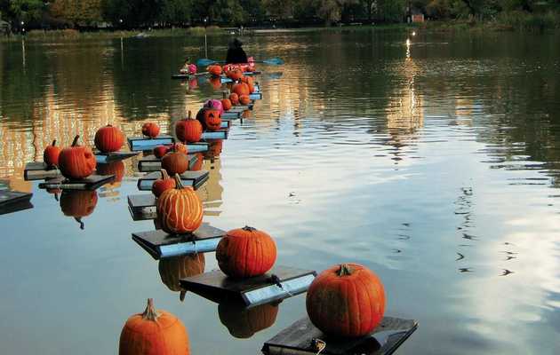 Amber Sutherland-Namako - Thrillist