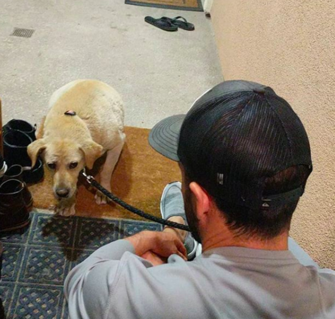 Dog Left Behind By Family Slept In The Dirt Until He Was Rescued - The Dodo