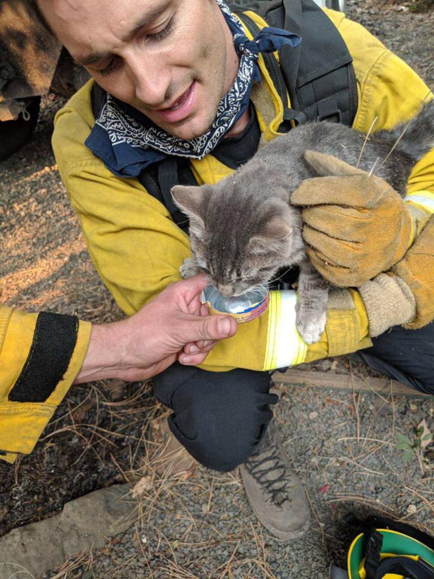 Pet Cat Forms Instant Friendship With Firefighter Who Saved Him - The Dodo
