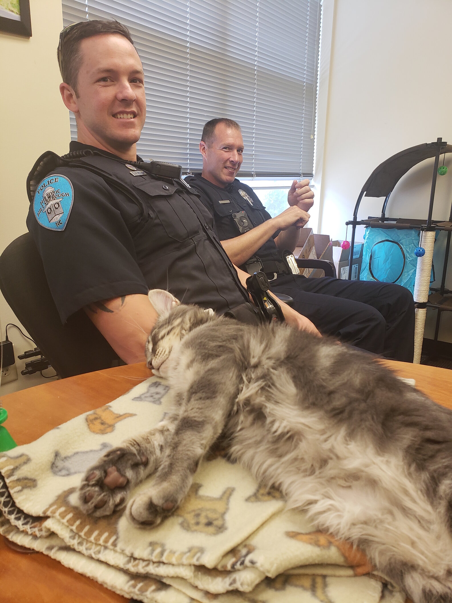 Police Officer Brings His Rescued Kitten To Work Every Day - The Dodo