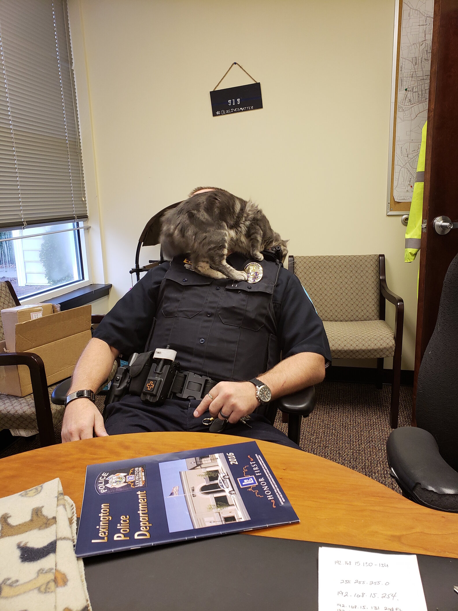 Police Officer Brings His Rescued Kitten To Work Every Day - The Dodo