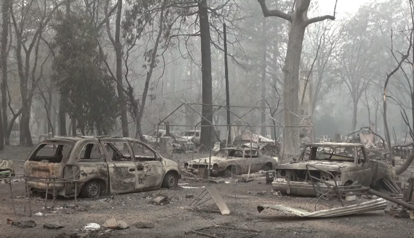 Dramatic Video Shows Cat Rescued Under Truck In Ruins Of Camp Fire ...
