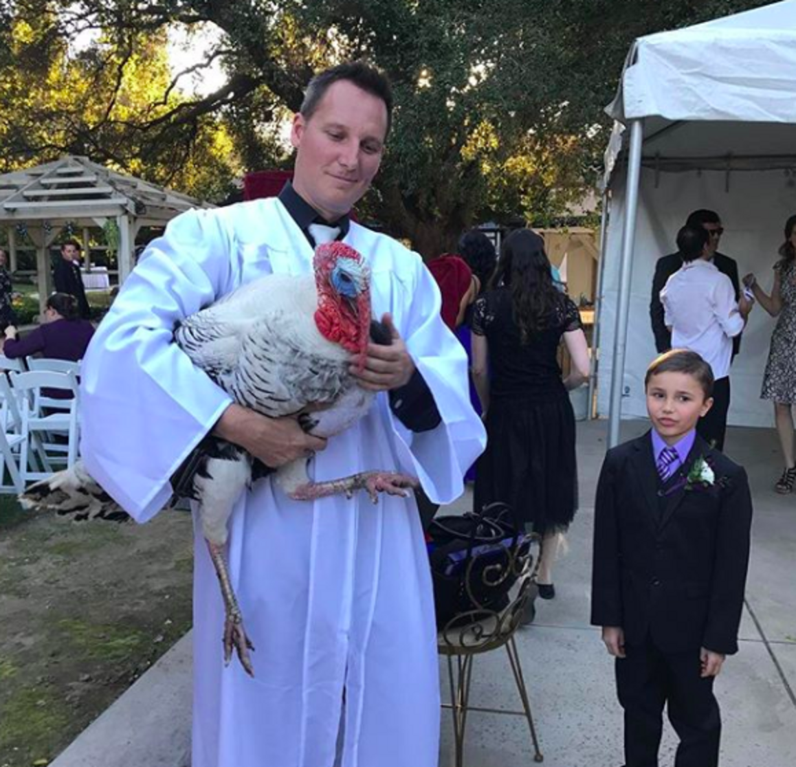 Albert The 'World’s Friendliest' Turkey Passes Away - The Dodo