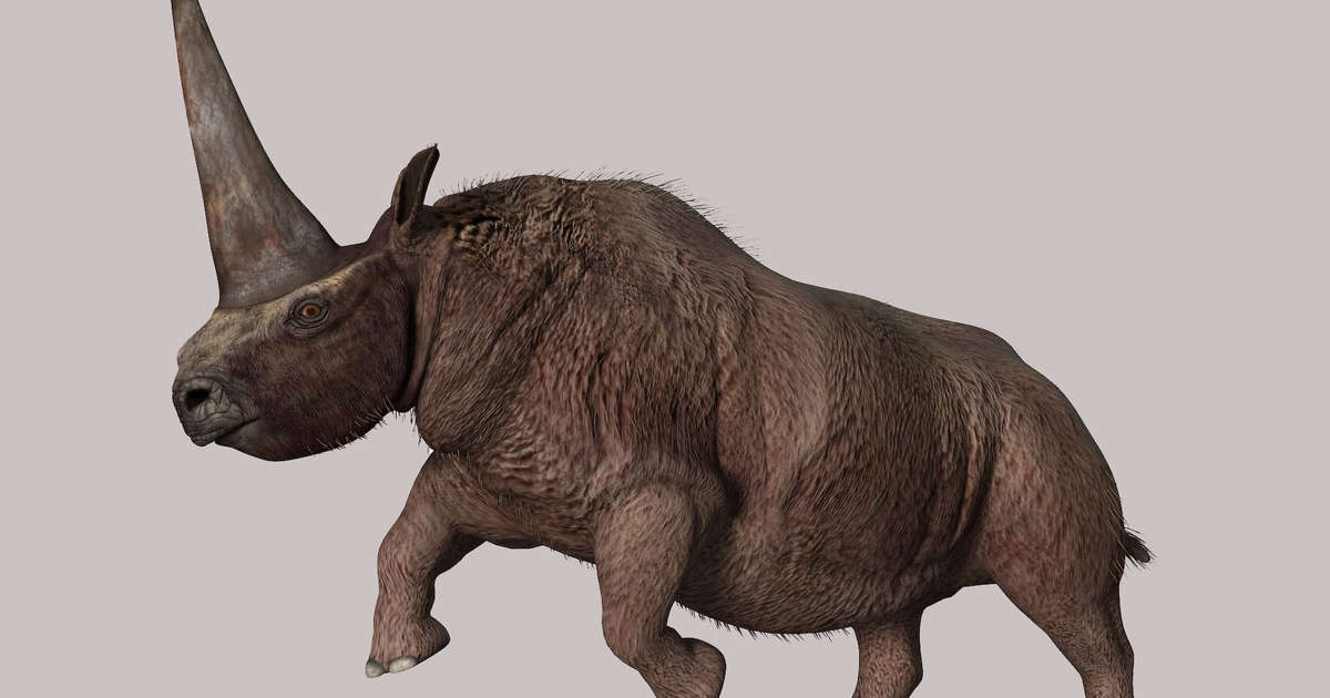 Unicorns Were Real and Killed By Climate Change, Scientists Reveal ...