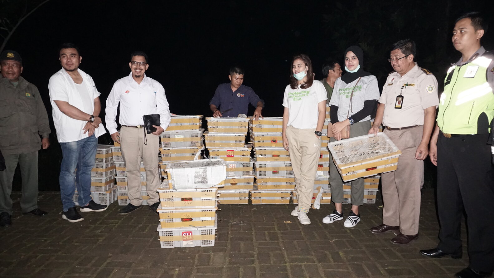 Officials Confiscate 9,000 Illegally Trafficked Birds In 10 Days - The Dodo
