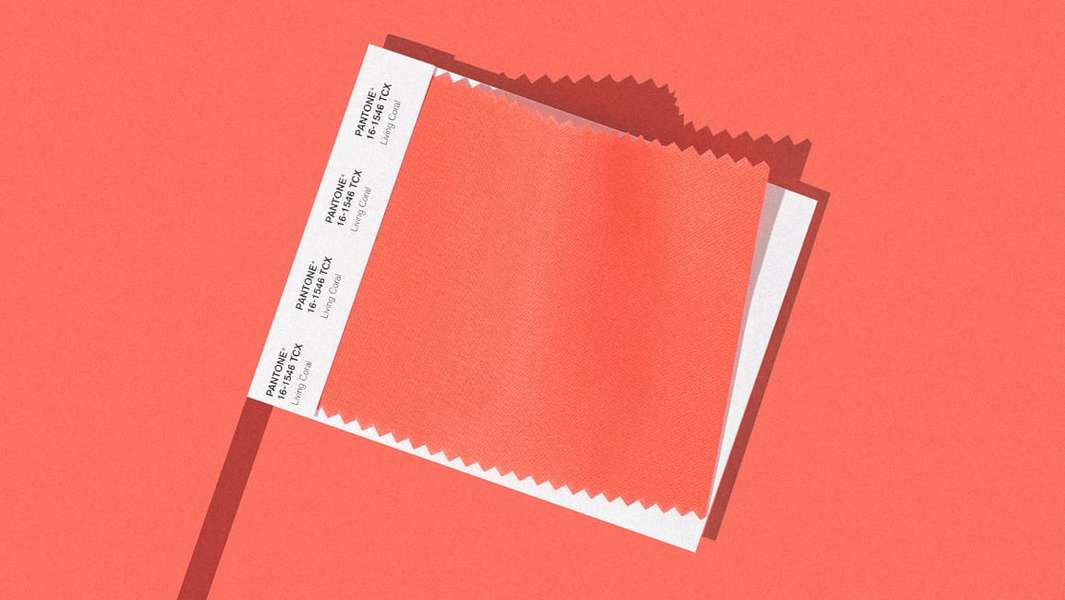 Pantone's 2019 Color Of The Year: What Is Living Coral? - Thrillist