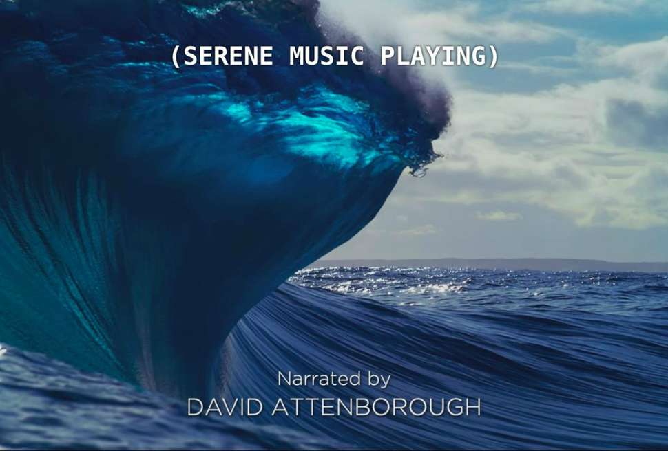 Blue Planet II Review: The BBC Series is the Best New Thing On Netflix ...