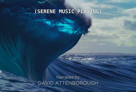 Blue Planet II Review: The BBC Series is the Best New Thing On Netflix ...