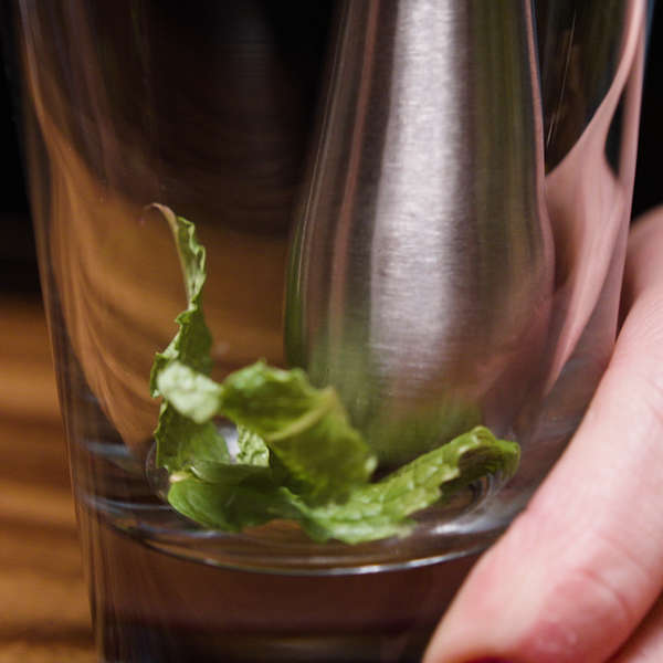 Cocktail Basics: How to Muddle - Thrillist