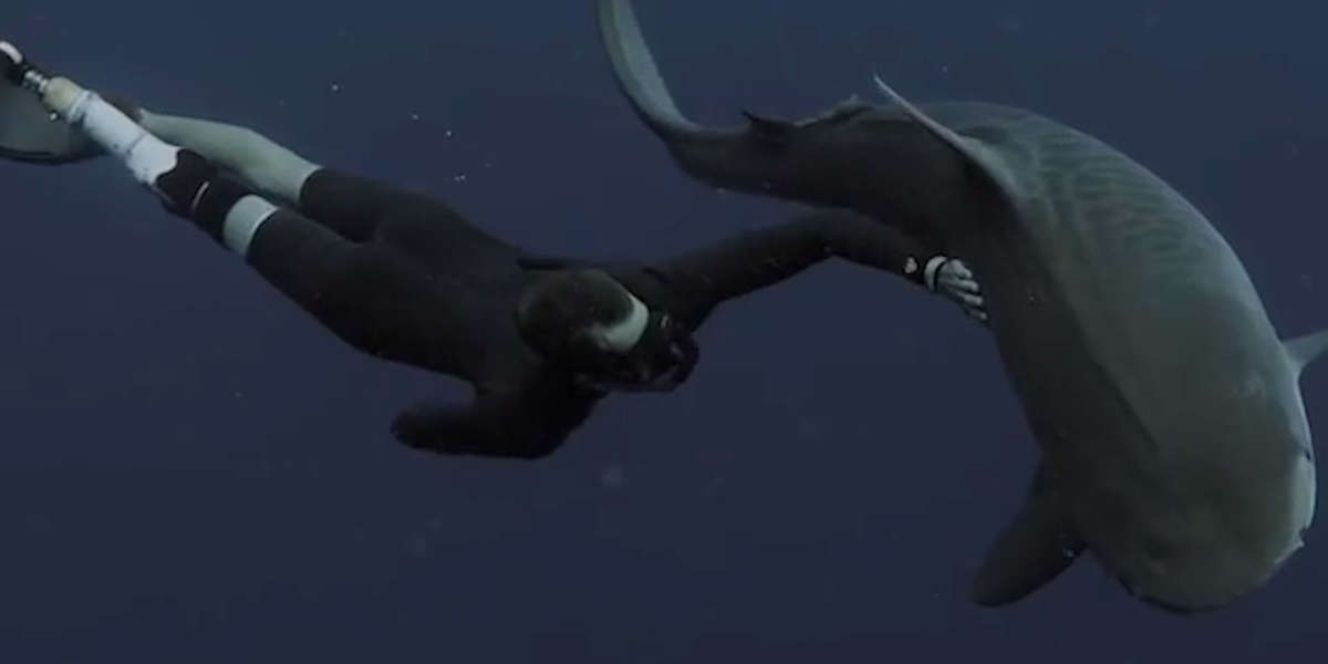 Surfer Who Lost Leg In Shark Attack Wants To Save Them All - Videos ...