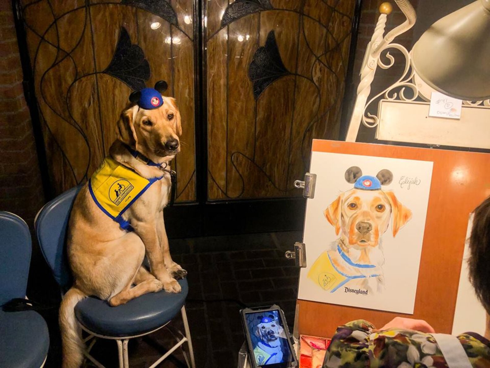 Adorable Dog Visits Disneyland And Meets All His Favorite Characters ...