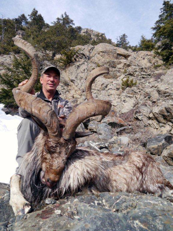 Trophy Hunter Pays $100,000 To Shoot Markhor Goat - The Dodo