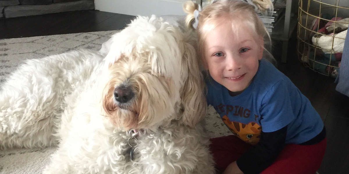 This Dog Was SO Proud When Her Human Sister Finally Walked - Videos ...