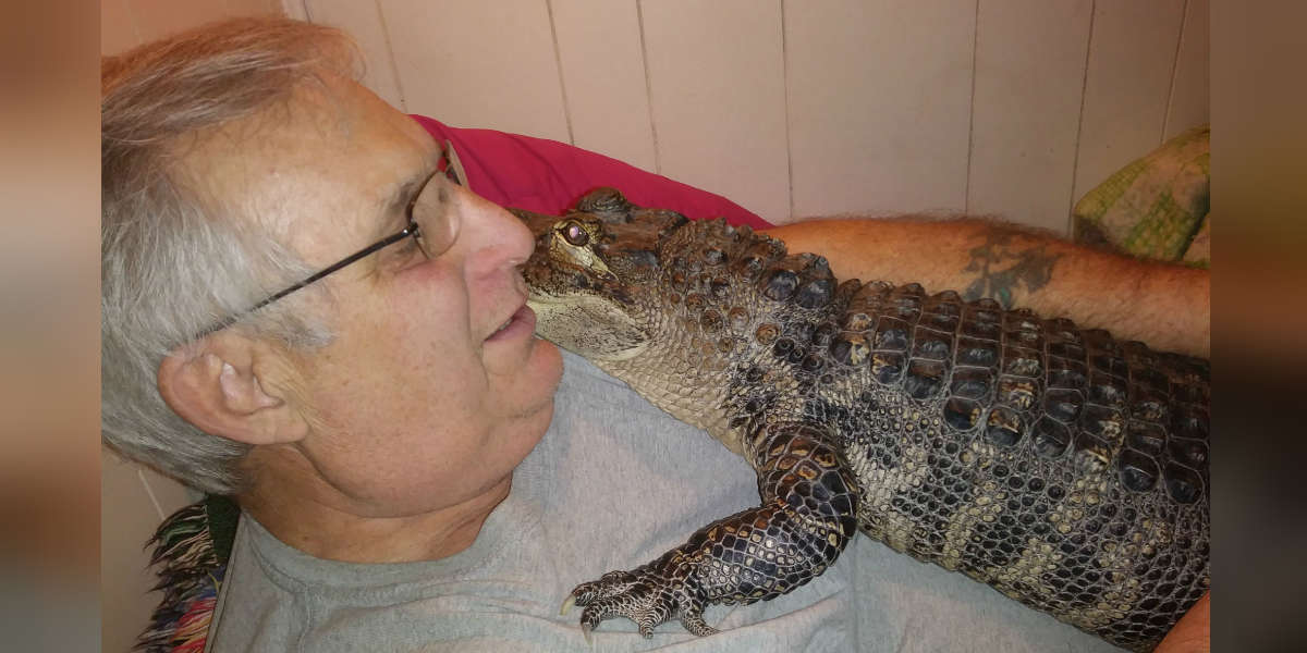 Emotional Support Alligator Helps Pennsylvania Man With Depression ...