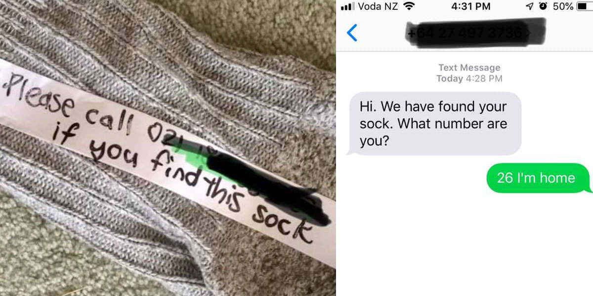 New Zealand Cat Thief Has Been Stealing Neighbors Socks For Years - The ...