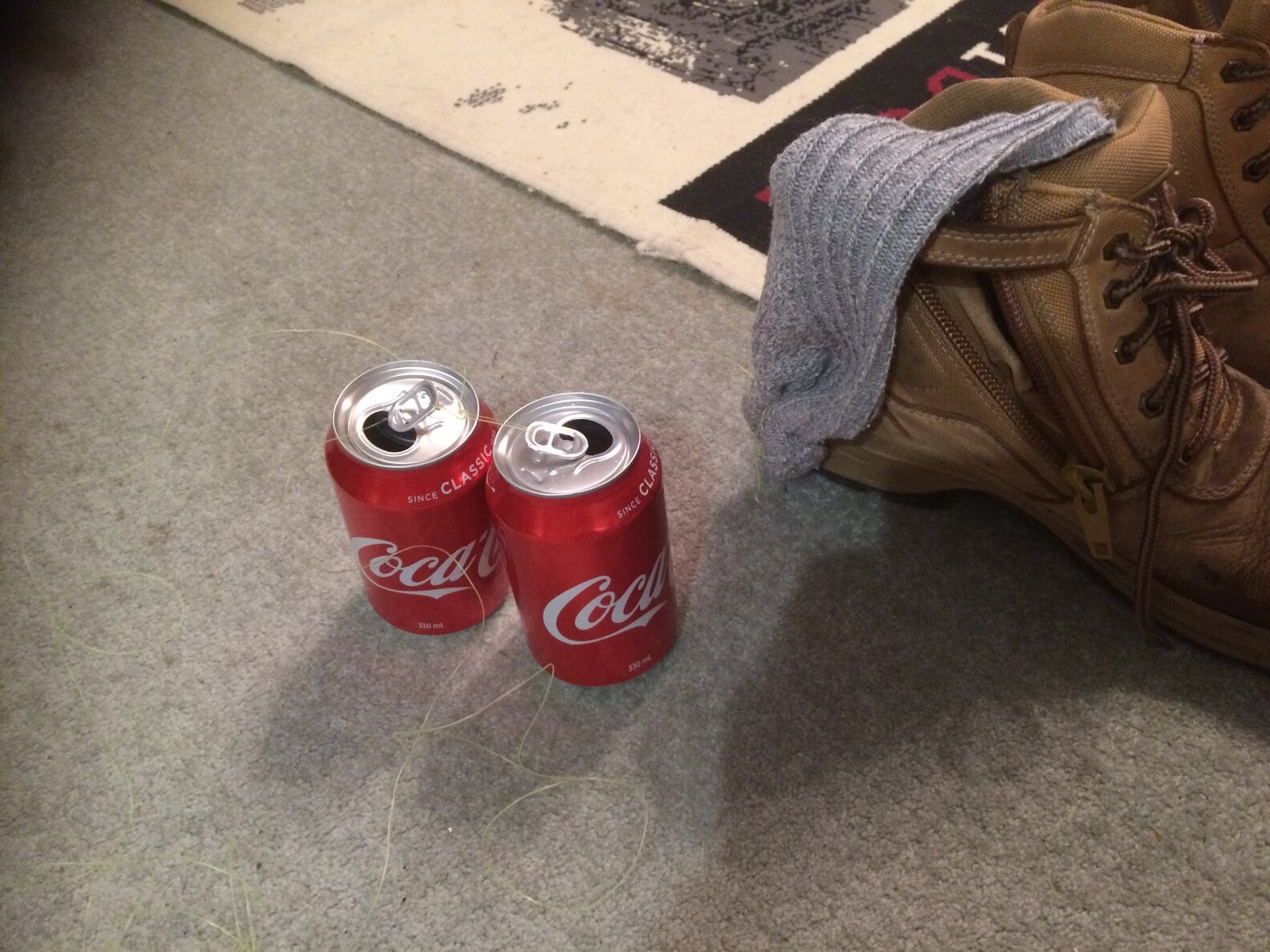 New Zealand Cat Thief Has Been Stealing Neighbors Socks For Years - The ...