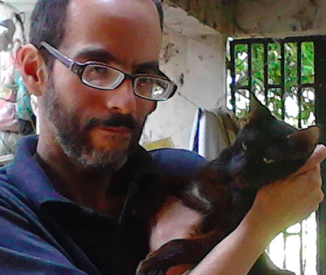 This Family Is Saving Cats And Kittens In Crumbling Venezuela - The Dodo