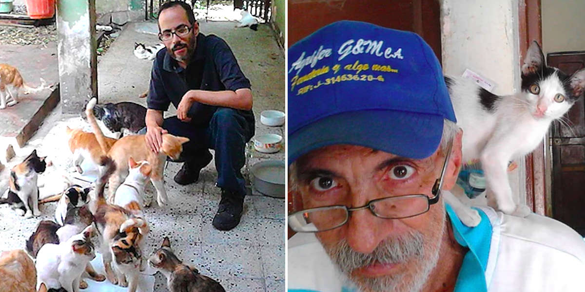 This Family Is Saving Cats And Kittens In Crumbling Venezuela - The Dodo