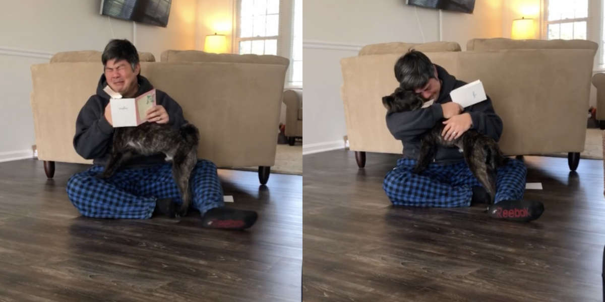 Guy Can't Stop Crying When He Finds Out He’s Keeping His Foster Dog ...