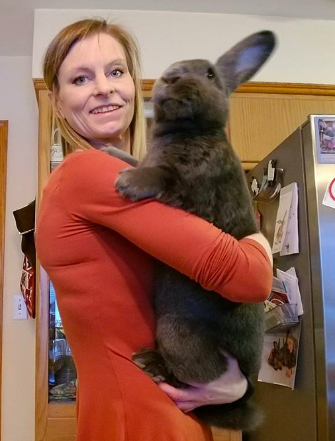 Blue Flemish Giant Rabbit