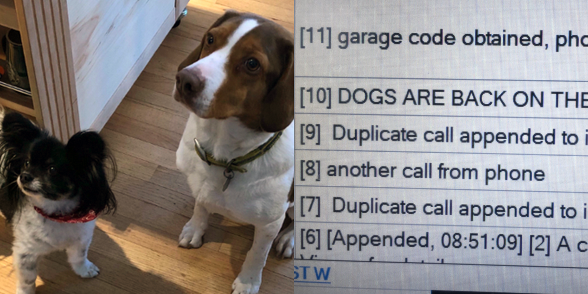 Minnesota Dogs Call 911 Sixteen Times - The Dodo