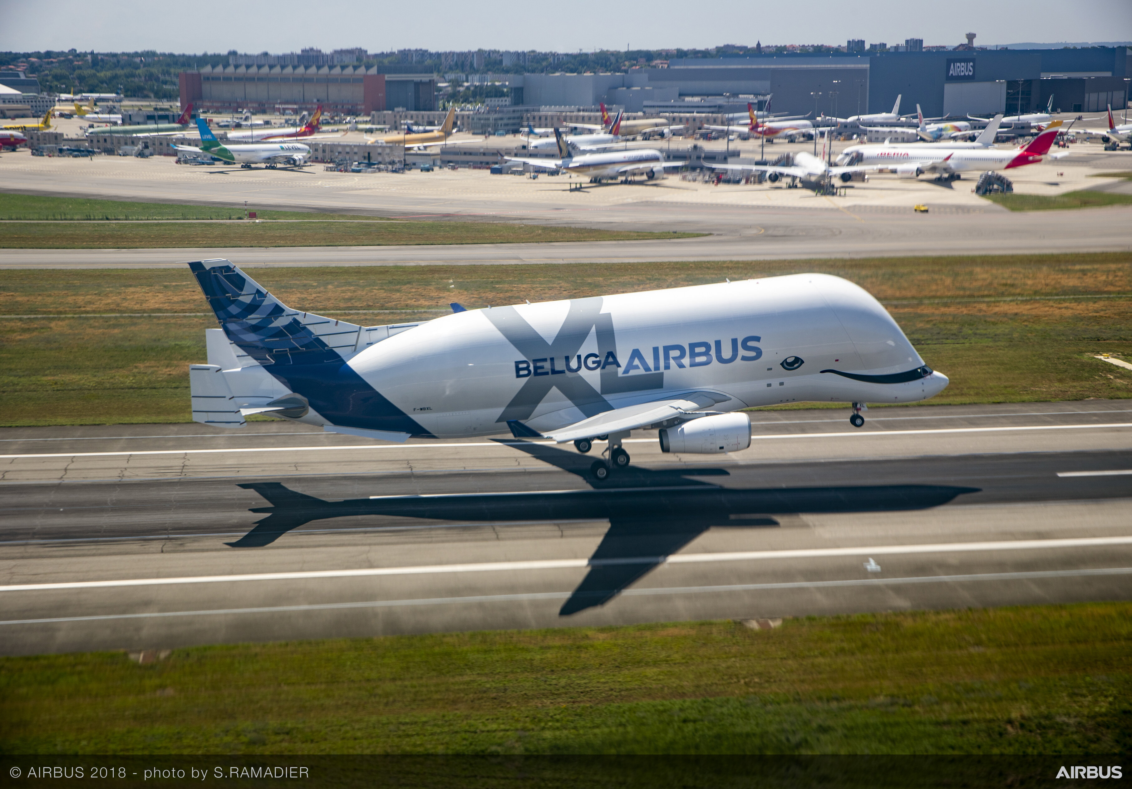 New Beluga XL Airbus Is Most Adorable Airplane Ever Created - The Dodo