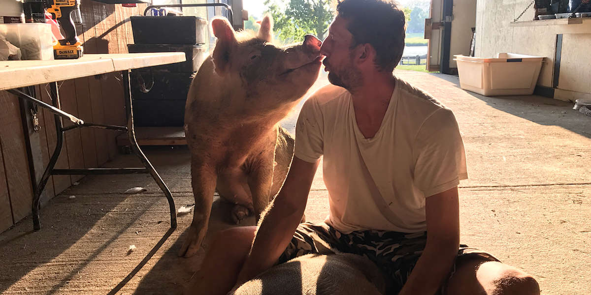Guy And His Pig Have The Sweetest Bond - Videos - The Dodo
