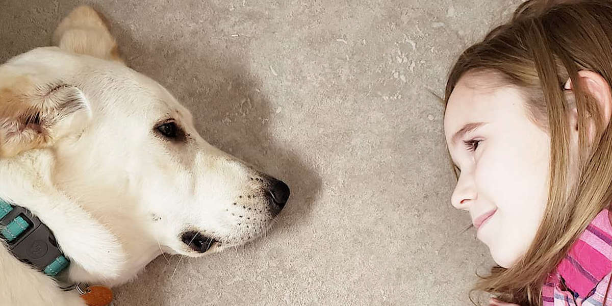 Little Girls Decide To Save A Shelter Dog's Life - Videos - The Dodo