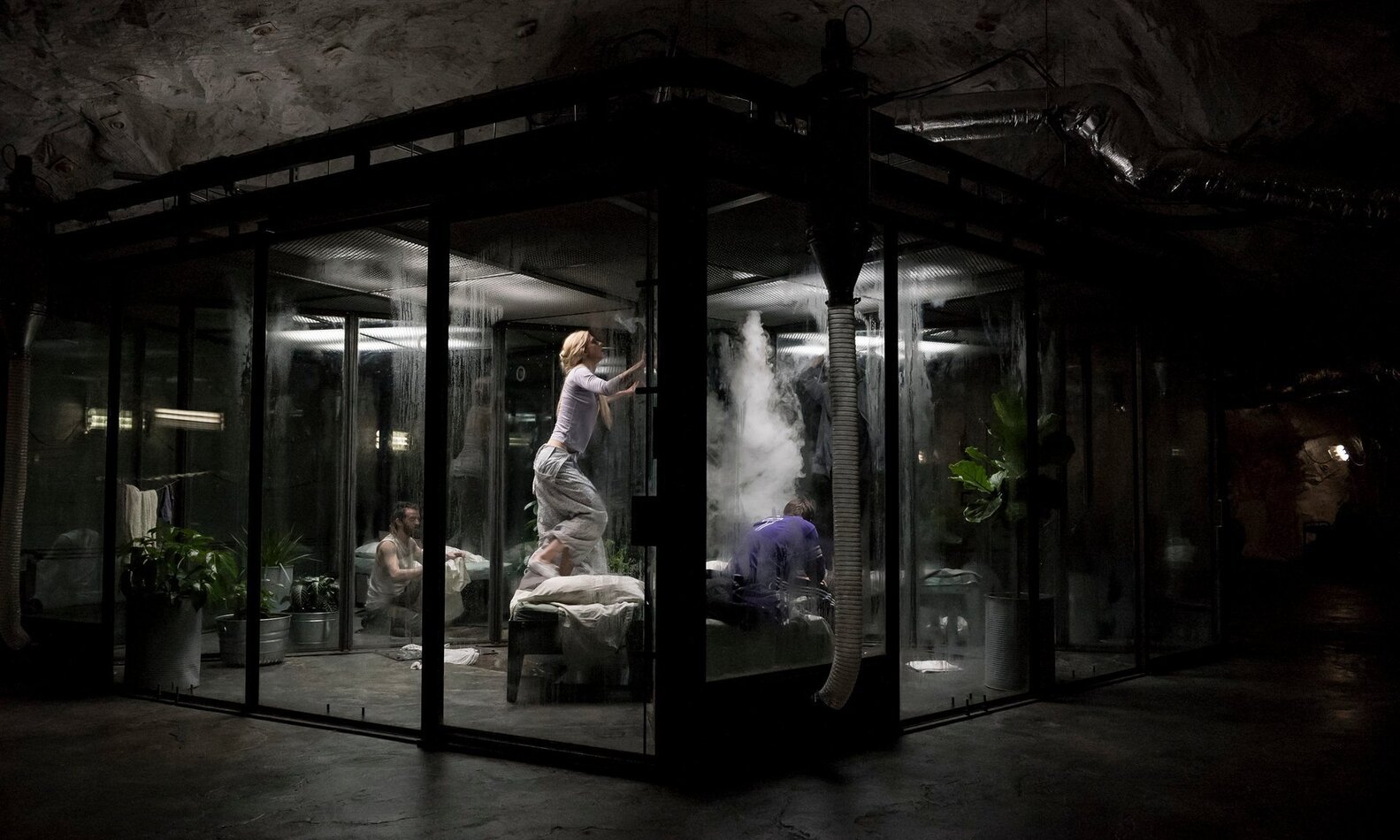 The OA Tree Conversation, Explained: Can Trees Really Talk to Each ...