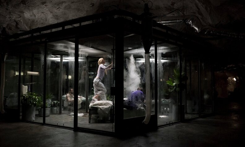 The OA Tree Conversation, Explained: Can Trees Really Talk to Each ...