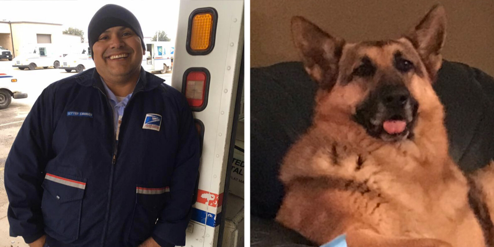 Mailman Fulfills The Final Wish Of A Dog On His Route Who Passed Away ...