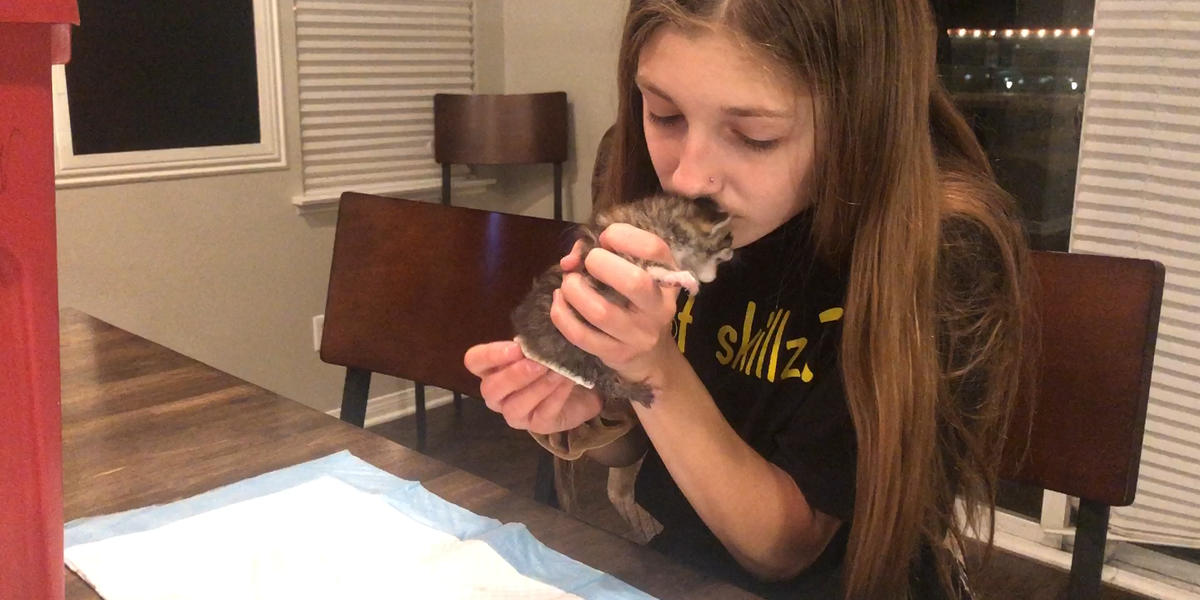 12-Year-Old Girl Fosters Kittens Nonstop - Videos - The Dodo