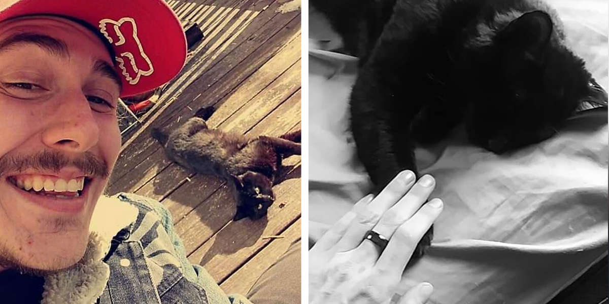 Man's 'Dead' Cat Returns Home Alive Hours After Heartbreaking Funeral ...